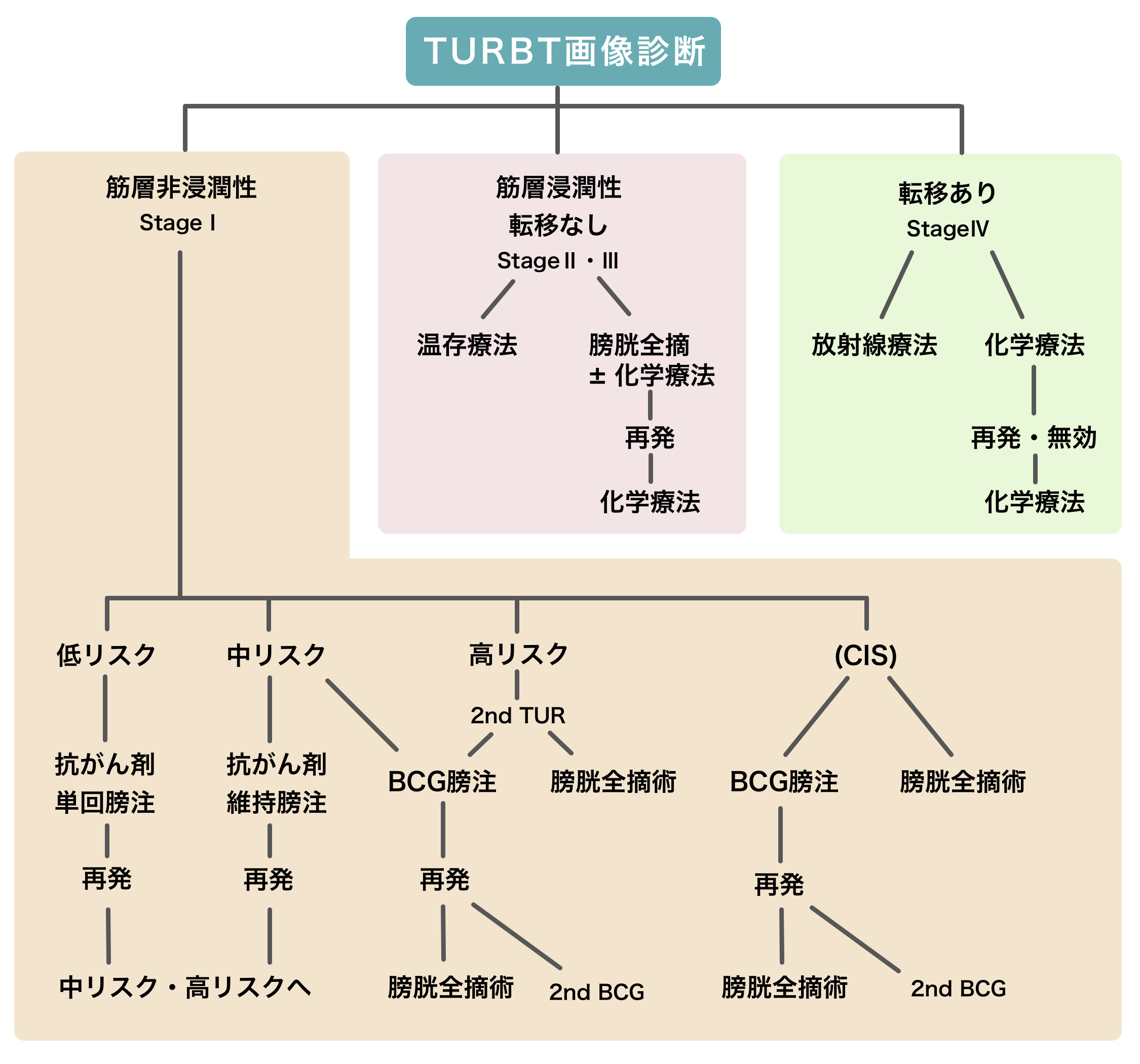 [医師監修・作成]膀胱がんの手術：内視鏡手術（TURBT）、膀胱全摘除術などについて | MEDLEY(メドレー)
